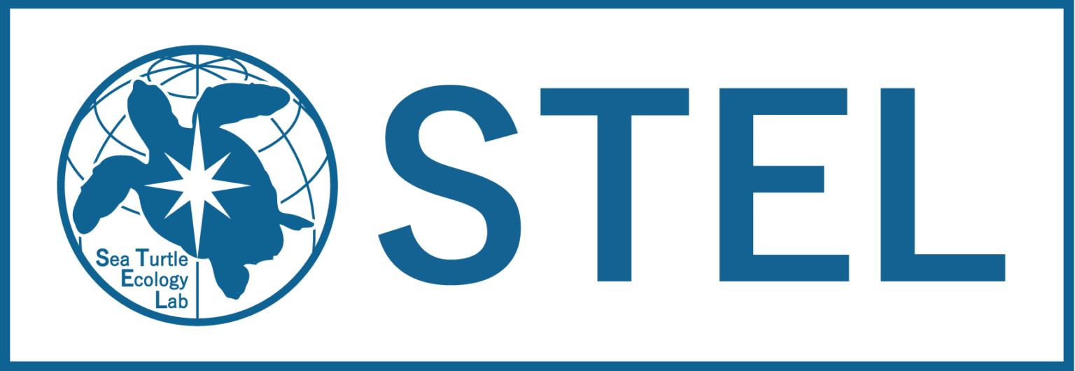 about - Sea Turtle Ecology Lab